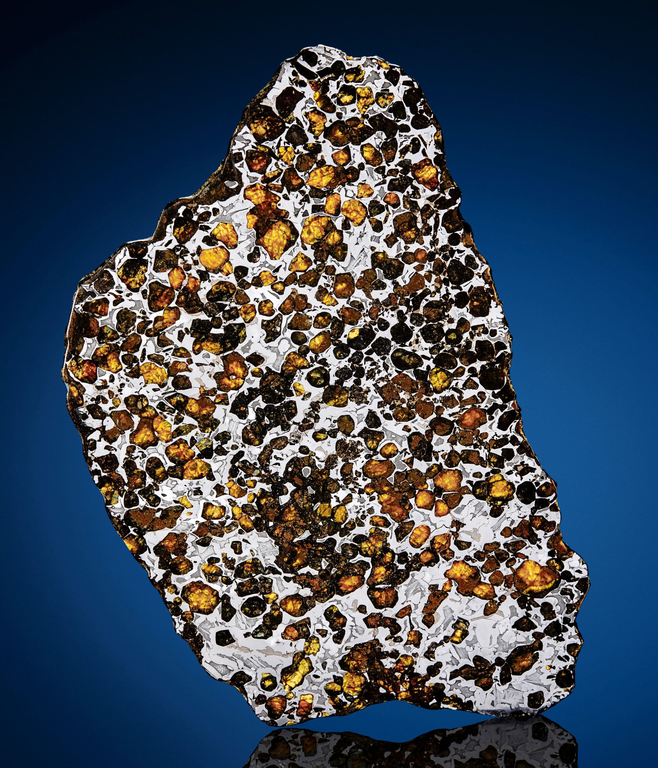Deep Impact: Lunar and Rare Meteorites | Auction Daily