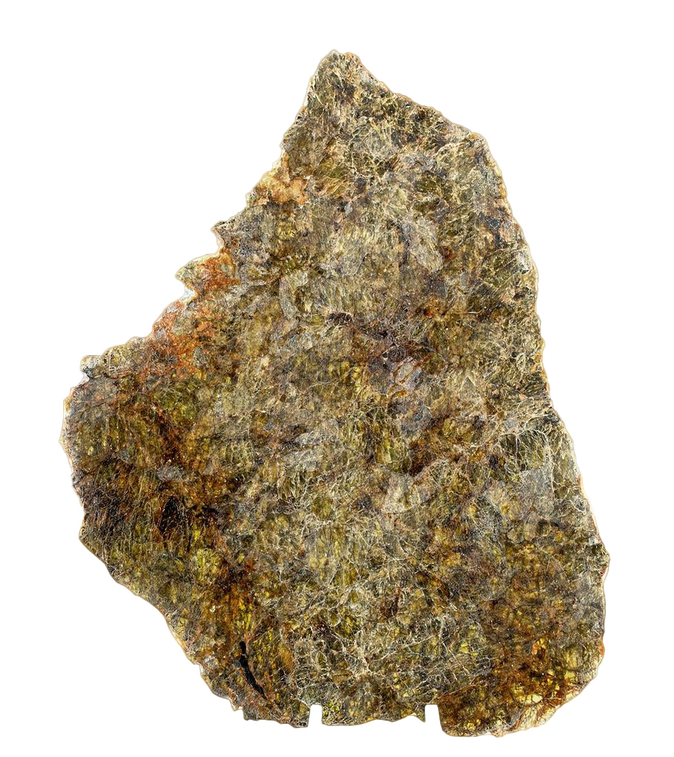 Rare Diogenite Meteorite Slab - Vesta Asteroid - Auction Daily