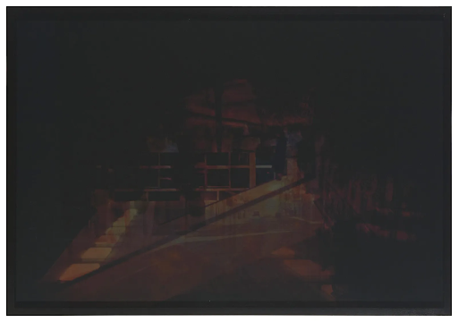 Important Prints by Rosângela Rennó Gomes Available at John Moran ...